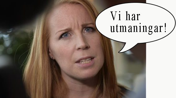 Utmaningar – Petterssons gör Sverige lagom!