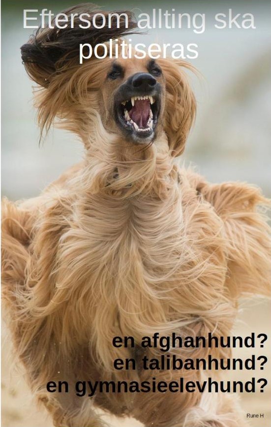 Veckans meme 4 – Petterssons gör Sverige lagom!