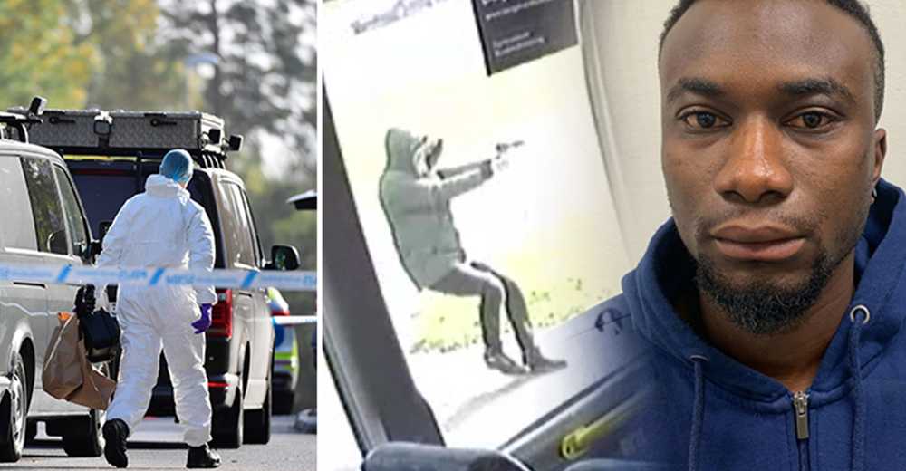 Alimamy Cole, 25, döms till livstid av HD – Petterssons gör Sverige lagom!