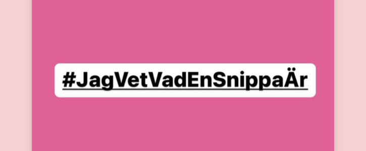 S-nämndemän lämnar hovrätten efter snippa-domen – Petterssons gör ...