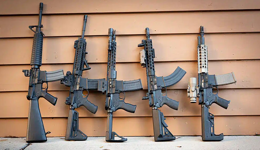 ”Militära” vapen på jaktlicens är riskabelt – Petterssons gör Sverige ...