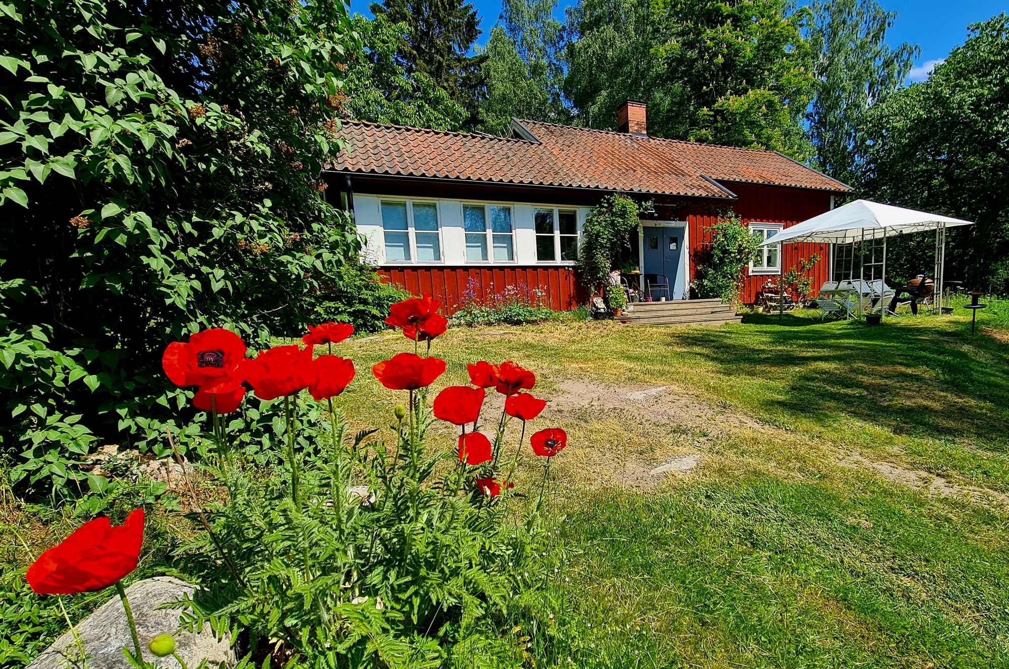 Nationaldag i ett av världens bästa länder… – Petterssons gör Sverige ...