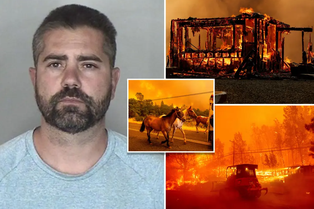 Knuffade ner brinnande bil i ravin – nu är branden i Kalifornien en av ...