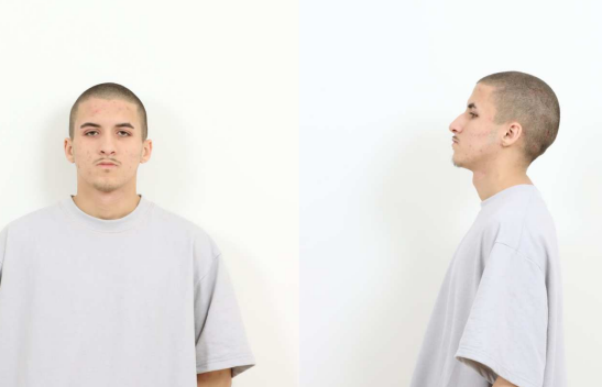 17-årig somalier döms till 12 års fängelse för trippelmord ...