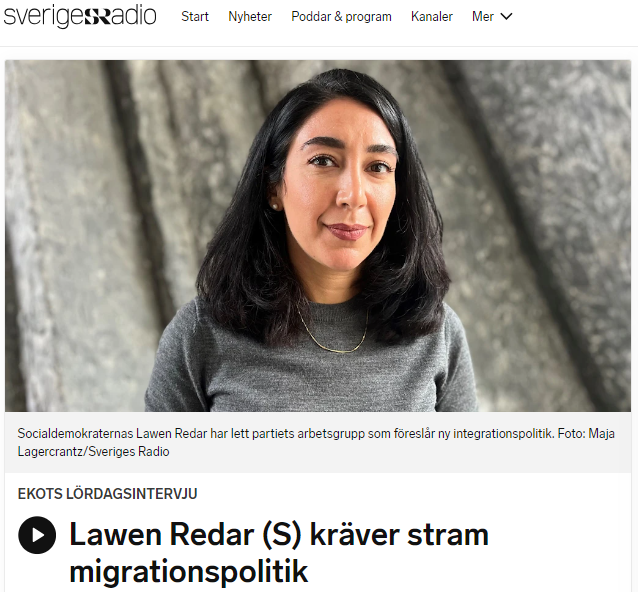 En stram migrationspolitik krävs för samarbete med S – Petterssons gör ...