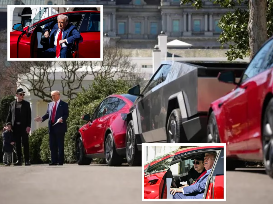 Trump älskar Tesla och Elon Musk – Petterssons gör Sverige lagom!