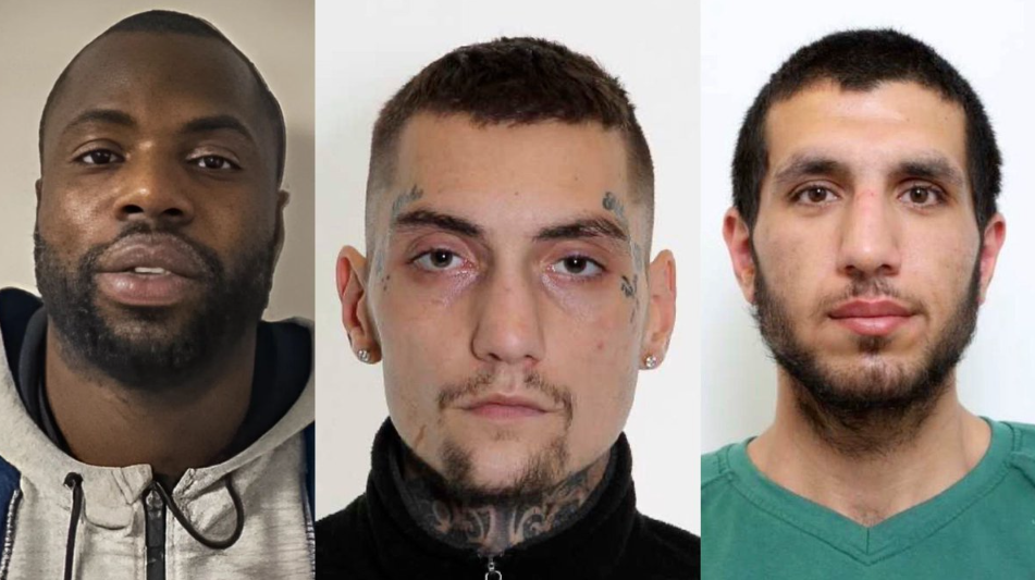 Expo-medarbetare brutalt misshandlade av invandrare – Petterssons gör ...