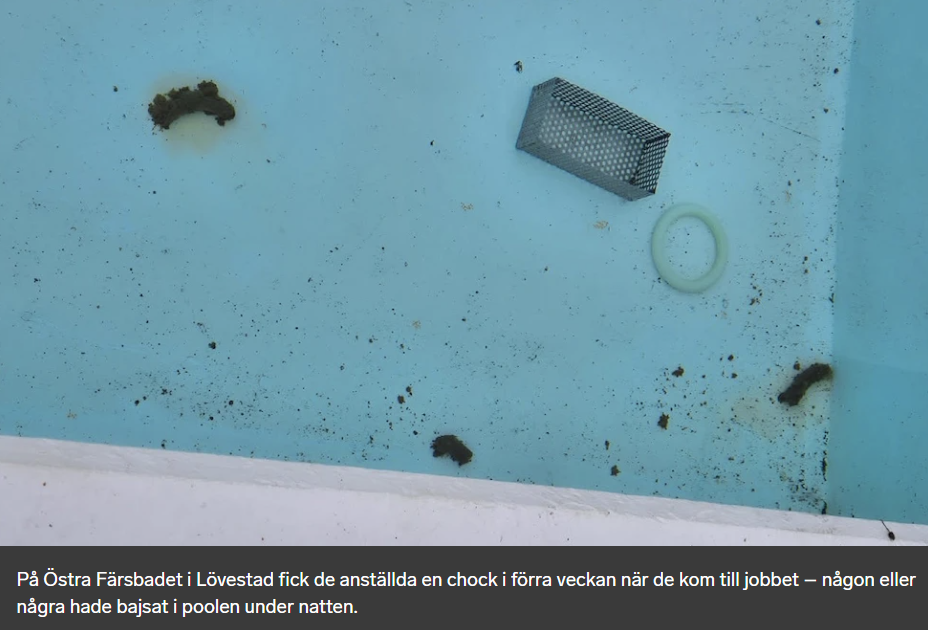 Är hon lämplig i rollen? – Petterssons gör Sverige lagom!